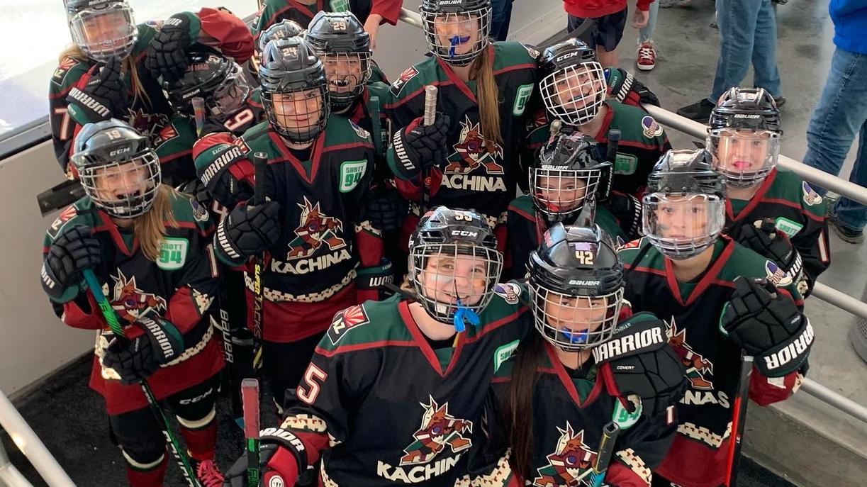 News: Updated AAA Standings - Pacific Girls Hockey League