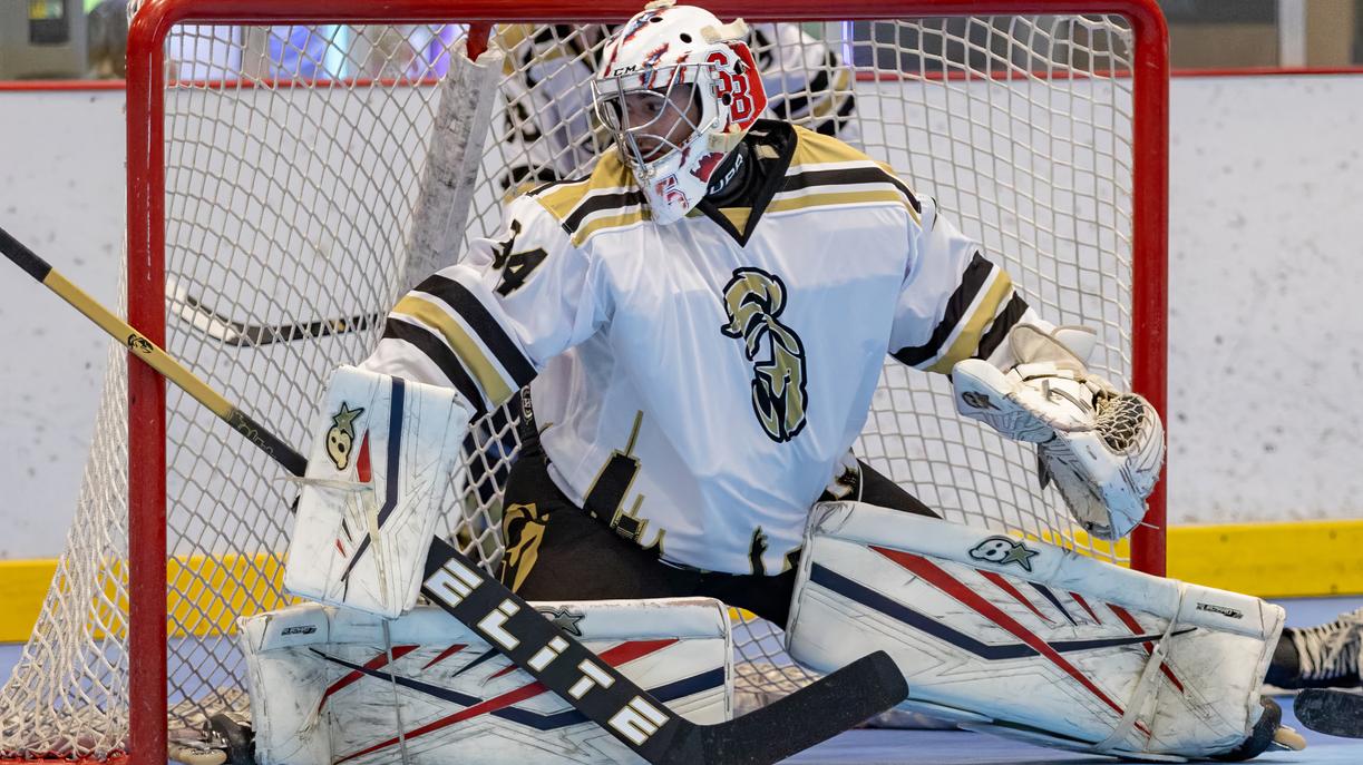 News: 1/18 Longplex Recap (Semi) - Professional Inline Hockey Association