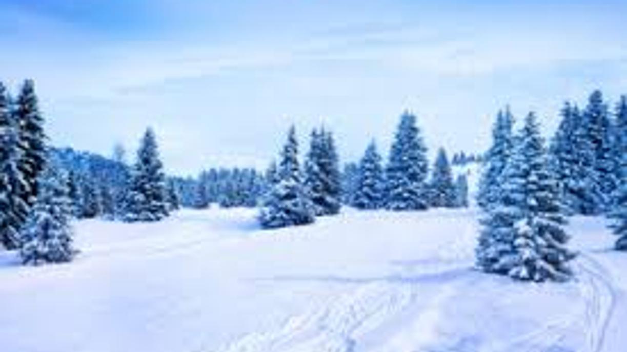 News: Weather Update! Friday 12/26 & Saturday 12/27 - Inline Skating ...