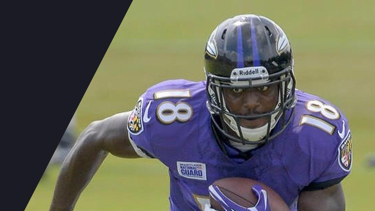 News: Flight sign WR Rashaad Carter - National Arena League