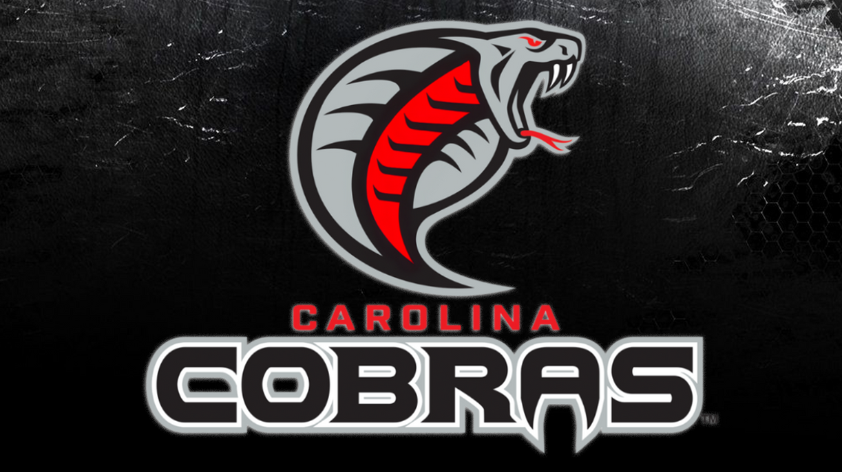 News: Dr. Kellie Dixon Joins Cobras Ownership Group - National Arena League