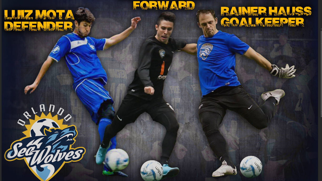 News: SeaWolves announce Brazilian Trio - Major Arena Soccer League
