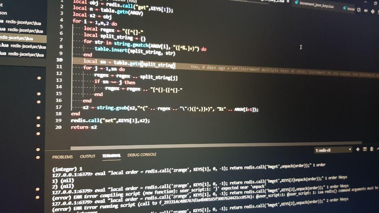 News: Commish's Dev Blog #7: What's a LUA script? - Simulation Football