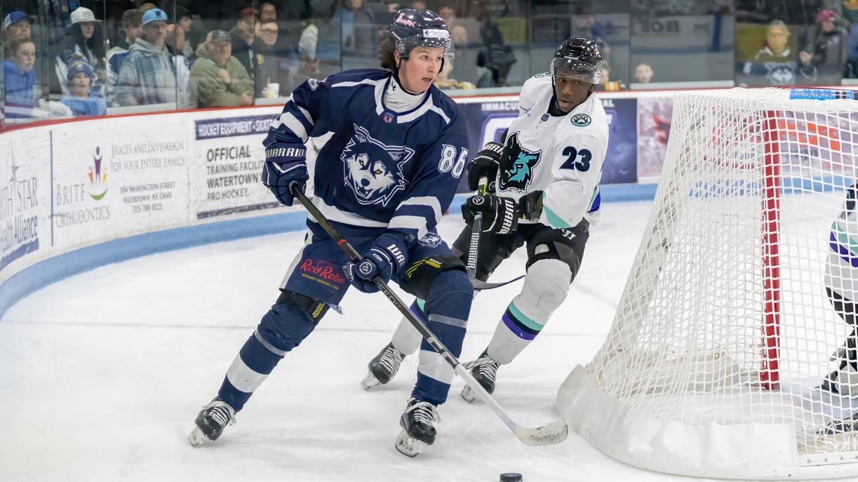 News: DAVIDE GAETA, FPHL FORWARD OF THE YEAR - Federal Prospects Hockey League