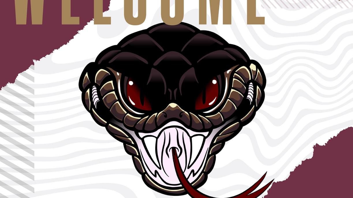 News: The FPHL Welcomes The Monroe Moccasins - Federal Prospects Hockey ...