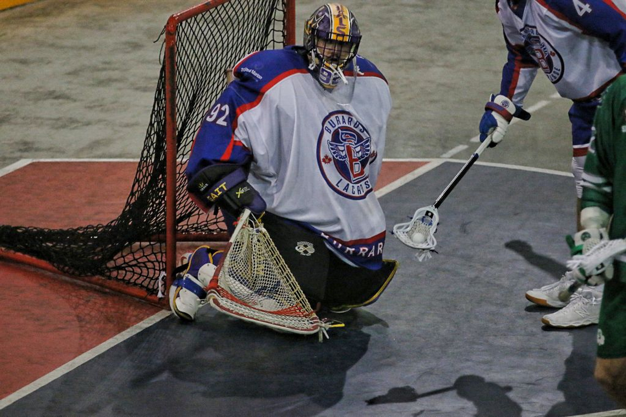 Recent Photos - Victoria Shamrocks