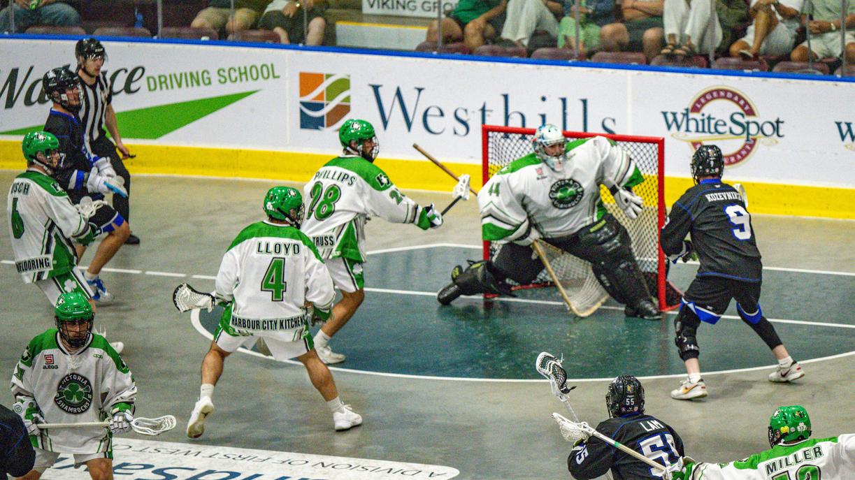 News: 2024 WLA Finals Preview: Shamrocks vs Thunder - Victoria Shamrocks