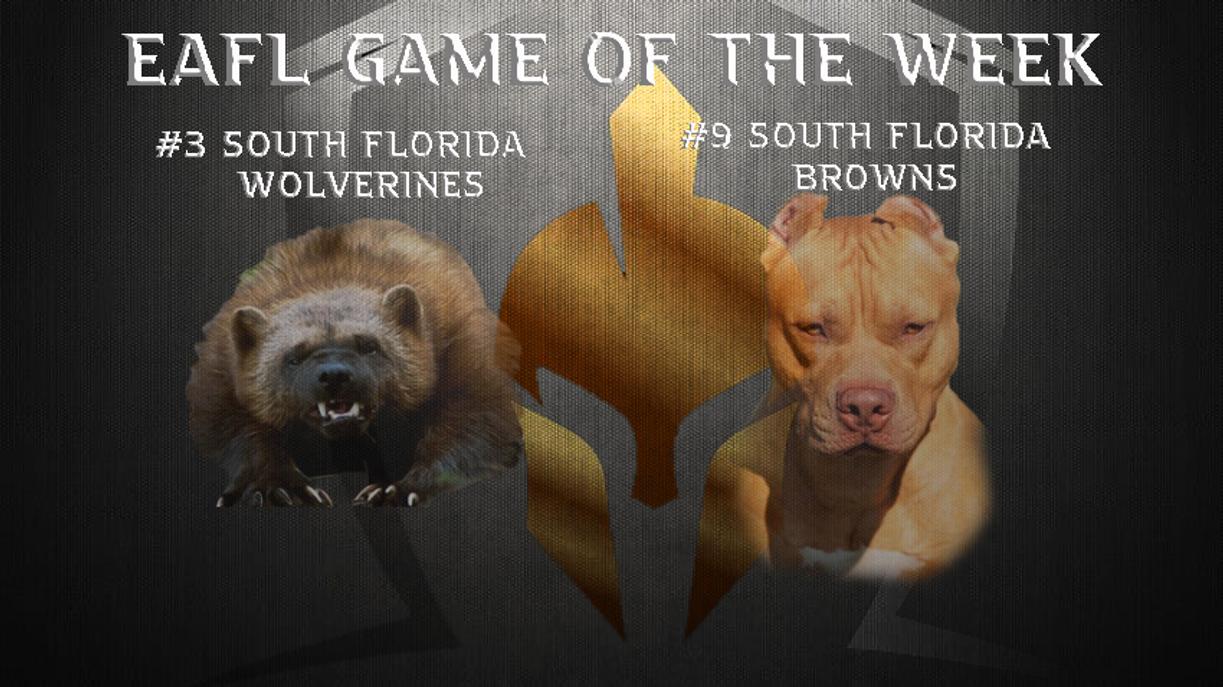 News: #3 South Florida Wolverines prepare for battle against the #9 ...