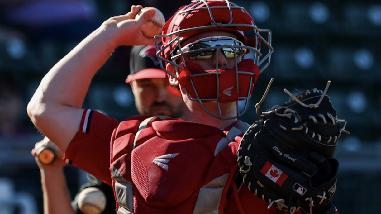 News: MAPLE LEAFS SIGN LUCA BOSCARINO - Toronto Maple Leafs Baseball Club