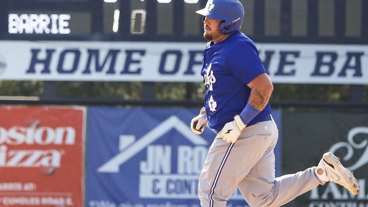 News: MAPLE LEAFS RE-SIGN MIKE CECCHETTO - Toronto Maple Leafs Baseball ...