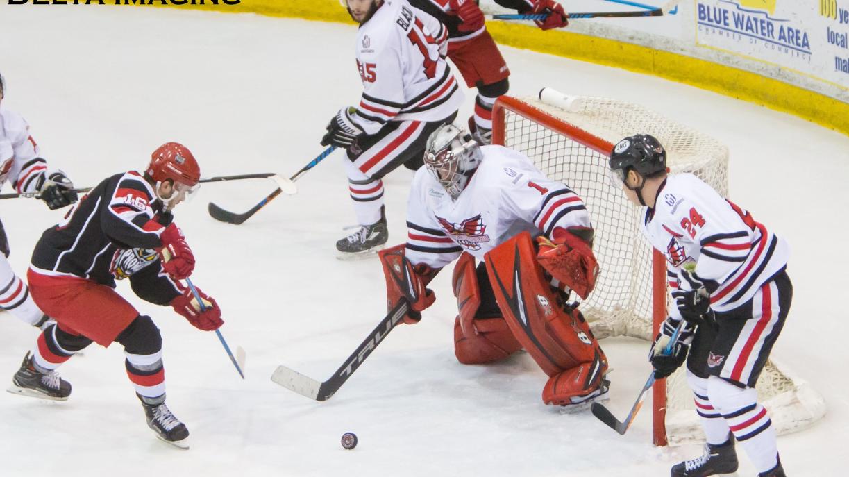 Prowlers on New Win Streak - Port Huron Prowlers