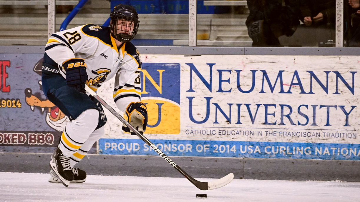 News: Prowlers Sign Neumann Forward Demke - Port Huron Prowlers