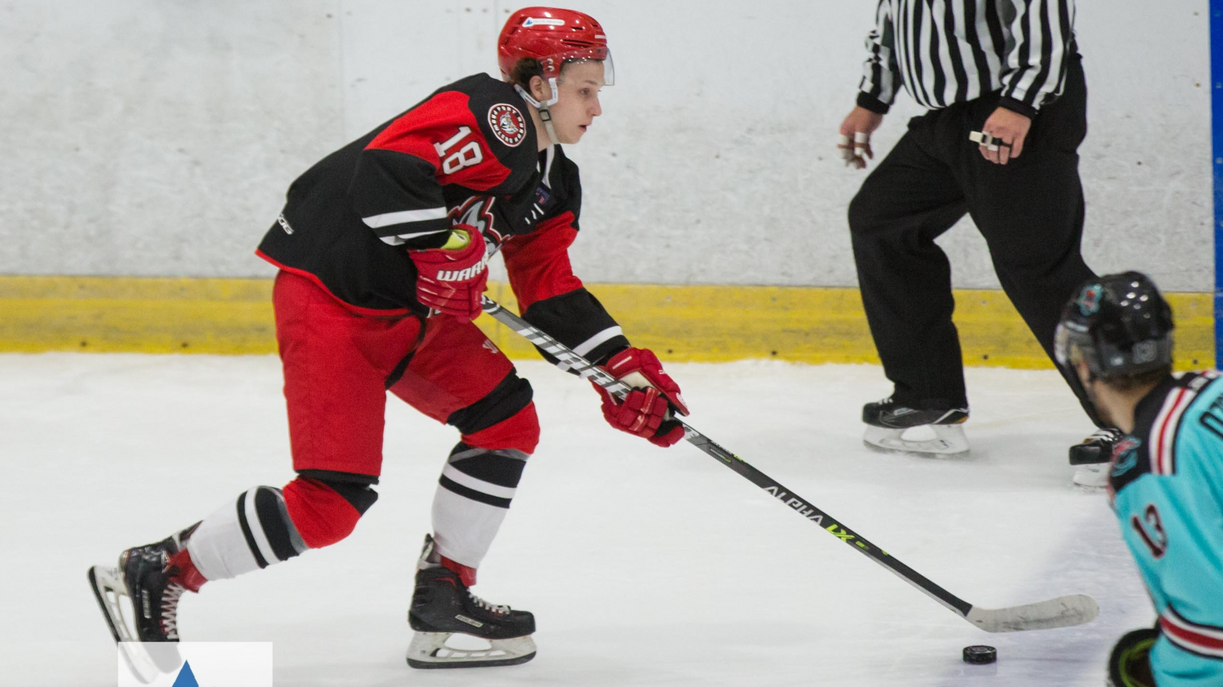 News: Prowlers Add Williams, Parsons De-Activated - Port Huron Prowlers