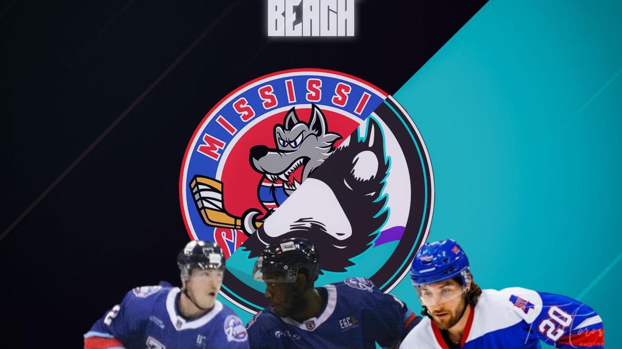 News: Sea Wolves Make 3 for 3 Trade With Zydeco - Biloxi Breakers