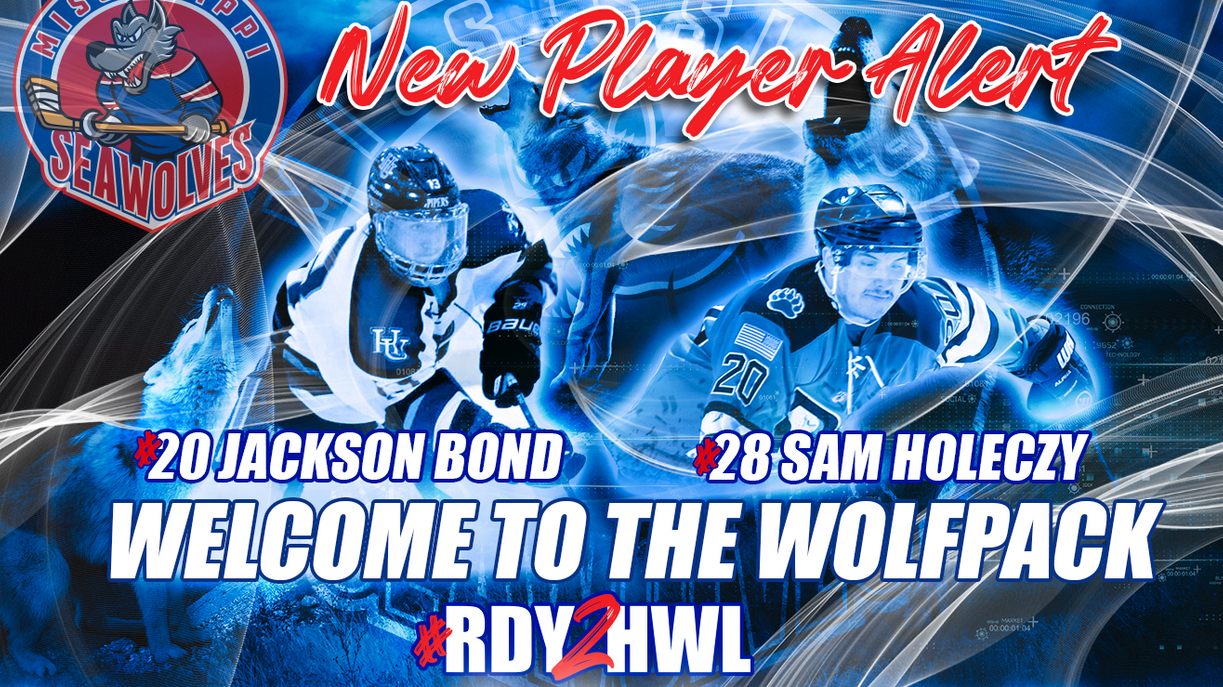 News: Sea Wolves Add Holeczy and Bond - Biloxi Breakers