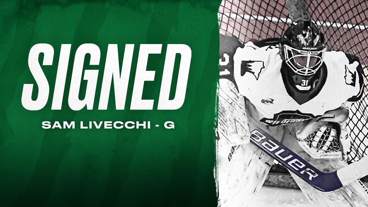 News: Binghamton adds young goaltender, Sam LiVecchi - Binghamton Black ...