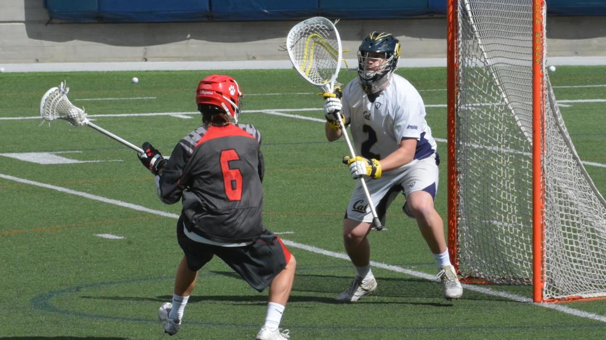 News: Cal takes down Chapman 12-5 - Cal Men's Lacrosse