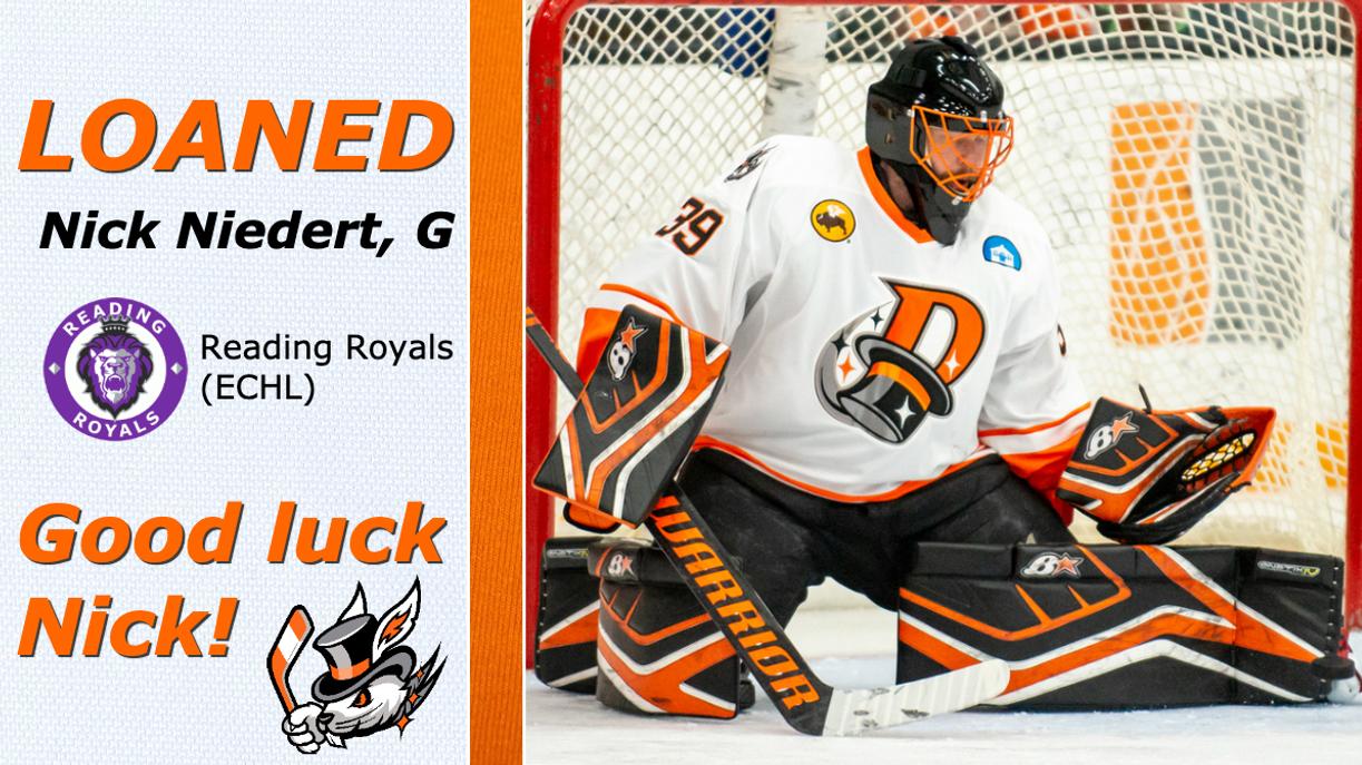 News: Niedert loaned to ECHL, will join Royals - Danbury Hat Tricks