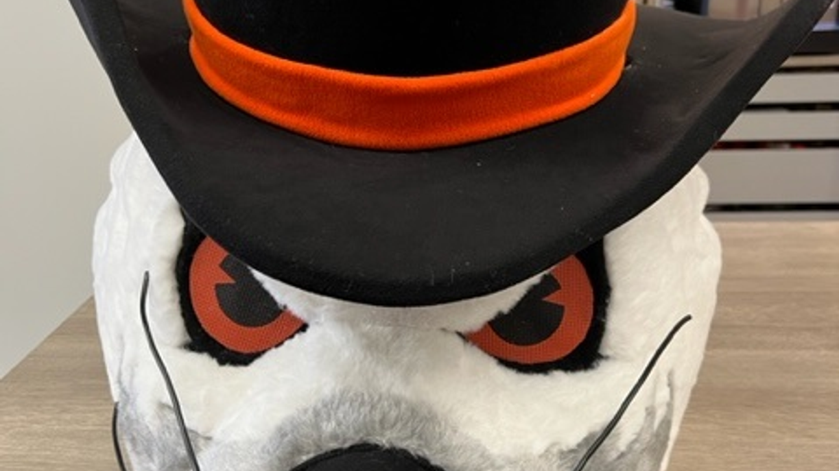 News: Name the Mascot! - Danbury Hat Tricks
