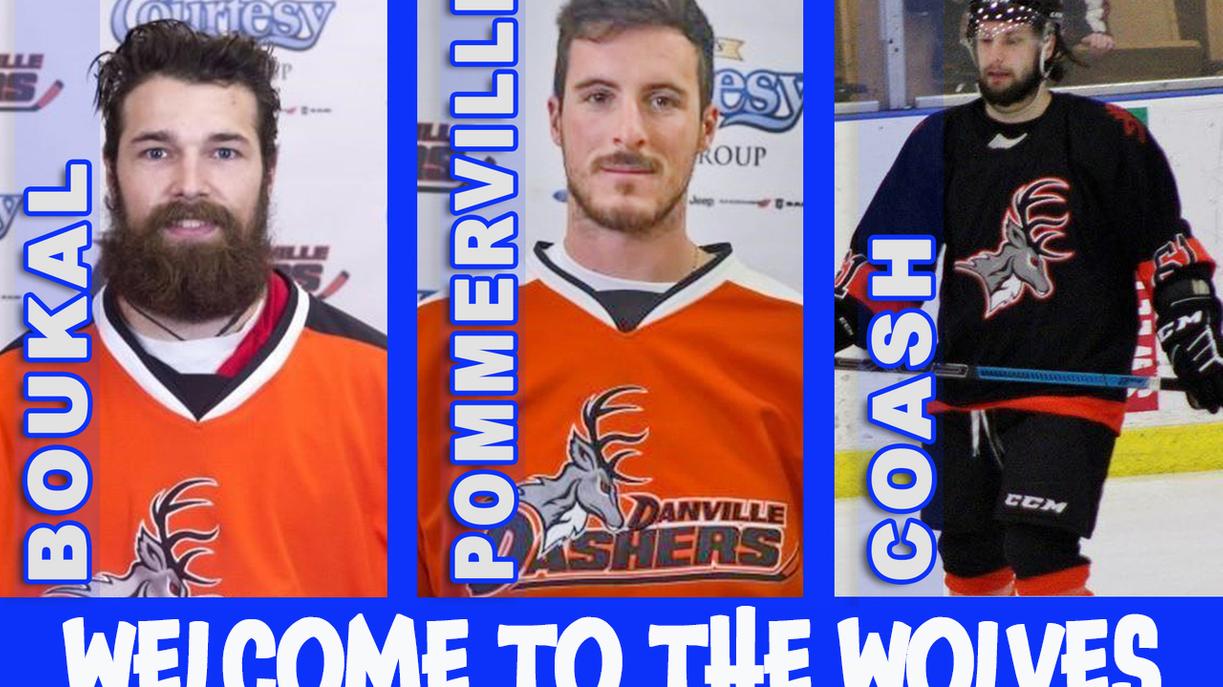 News: Wolves add quality in Danville dispersal draft - The Watertown Wolves
