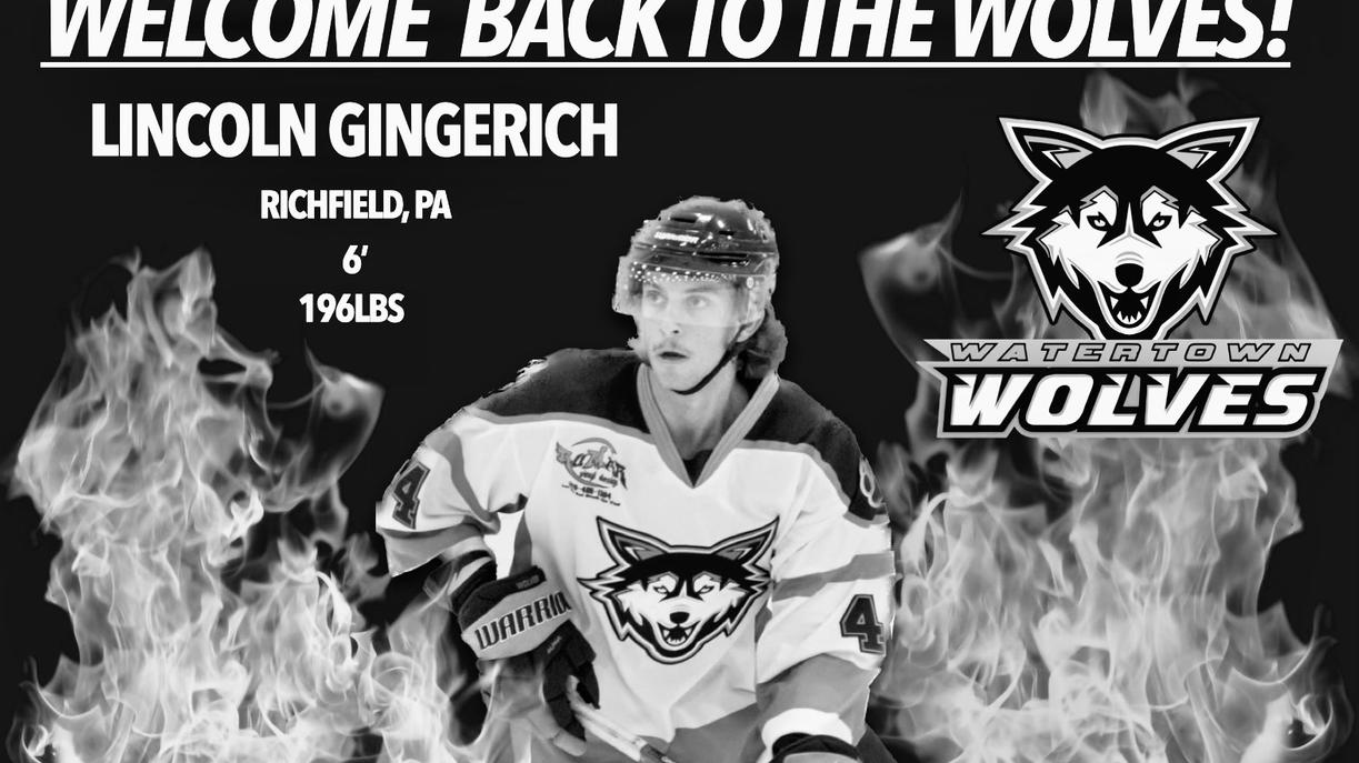 News: Wolves ink Gingerich! - The Watertown Wolves