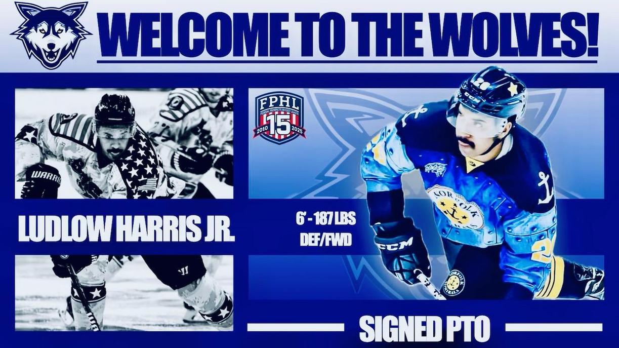 News: Watertown Wolves First 3 Acquisitions of the Season! - The ...