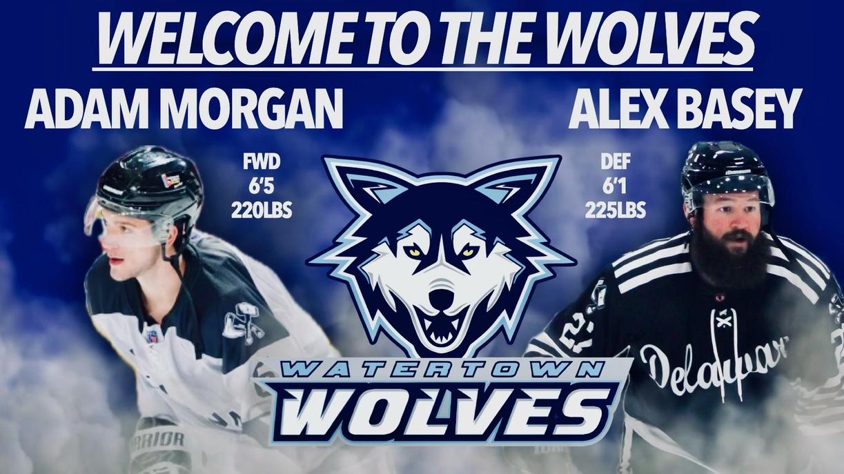 News: Wolves add 2 signings ahead of this weekends games. - The ...