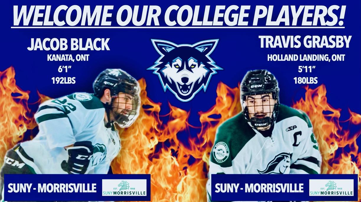 News: The Watertown Wolves are proud to announce our College ...
