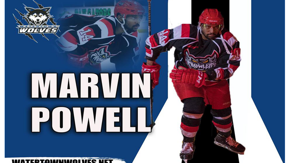 News: Let's all welcome Marvin Powell to the Watertown Wolves - The ...