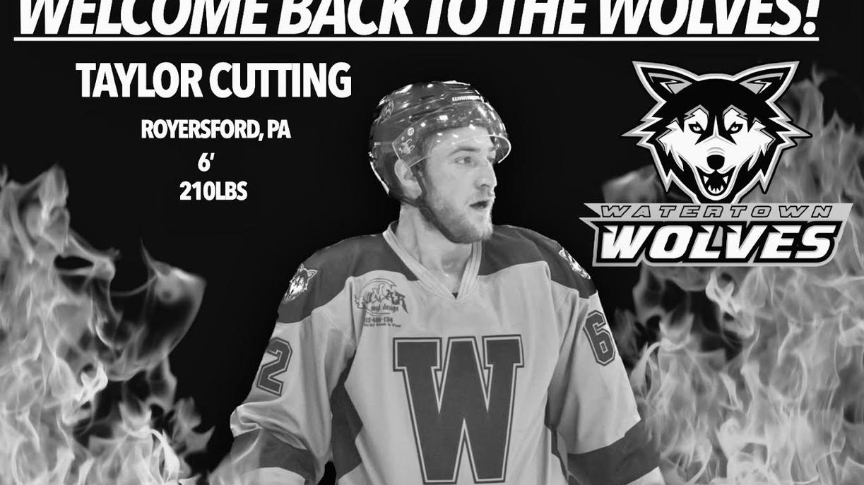 News: Wolves Welcome Back "The Butcher", Taylor Cutting! - The ...
