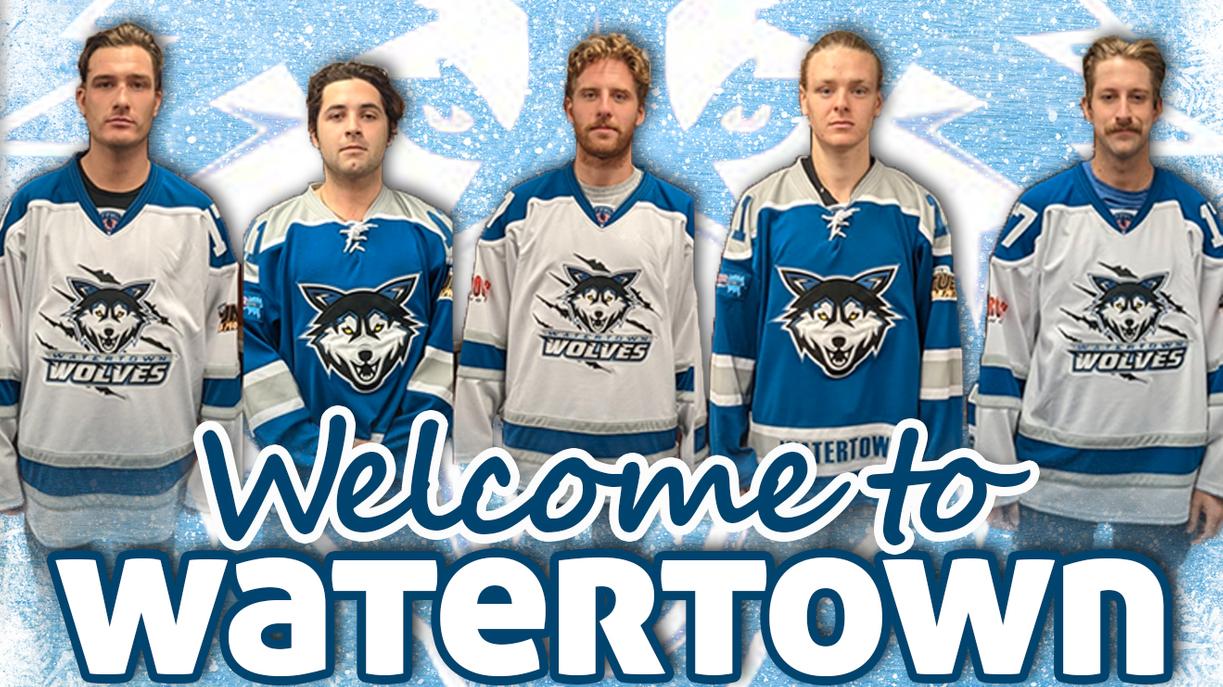 News: WOLVES ADD NEW PLAYERS FROM CAMP - The Watertown Wolves