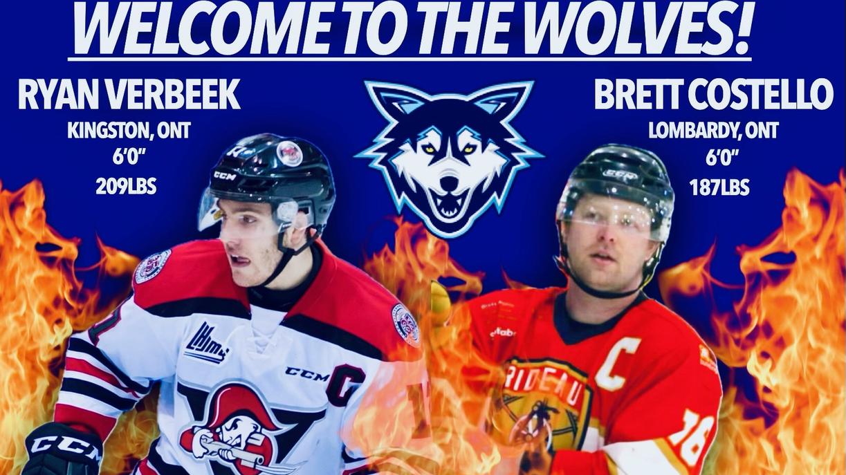 News: Welcom to the Wolves! - The Watertown Wolves