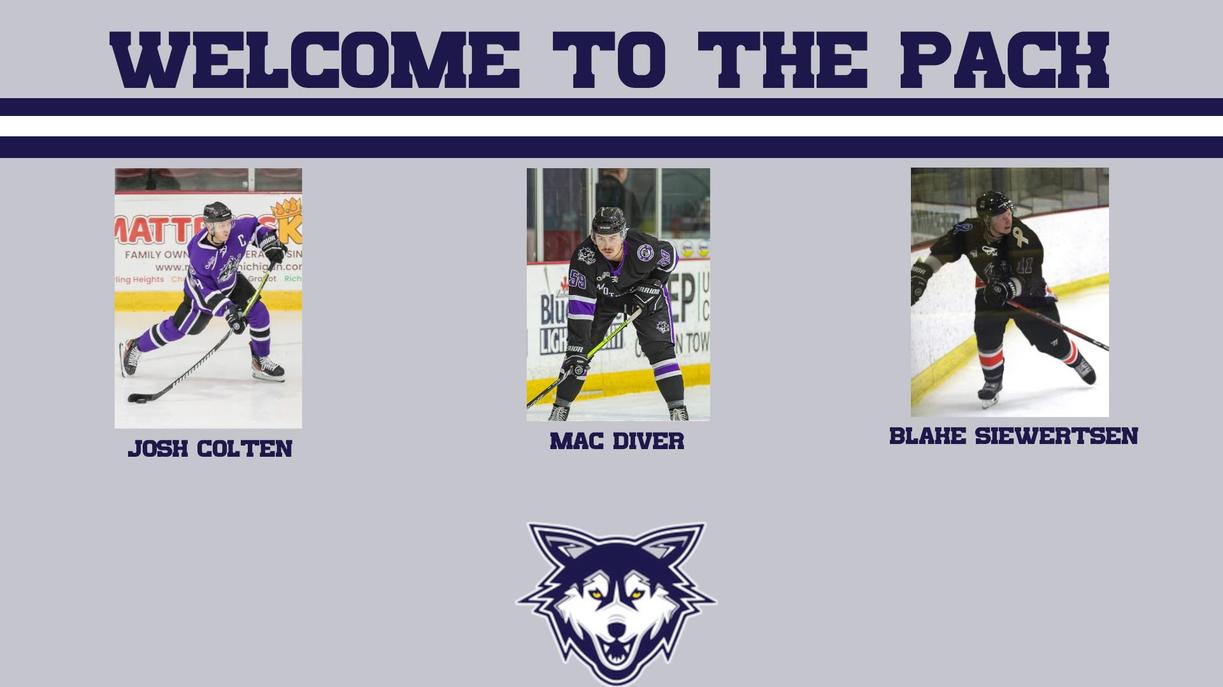 News: Wolves Add 3 To The Den - The Watertown Wolves