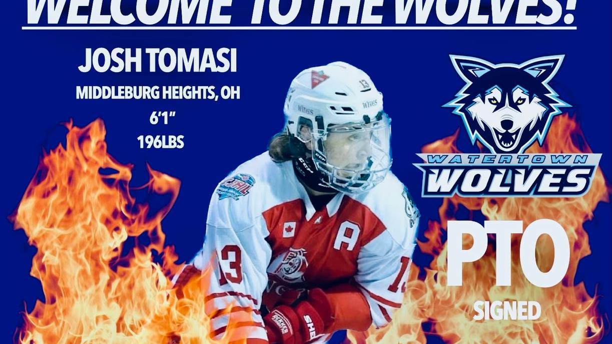News: "Wolves Announce Josh Tomasi as first of 3 PTOs." - The Watertown ...