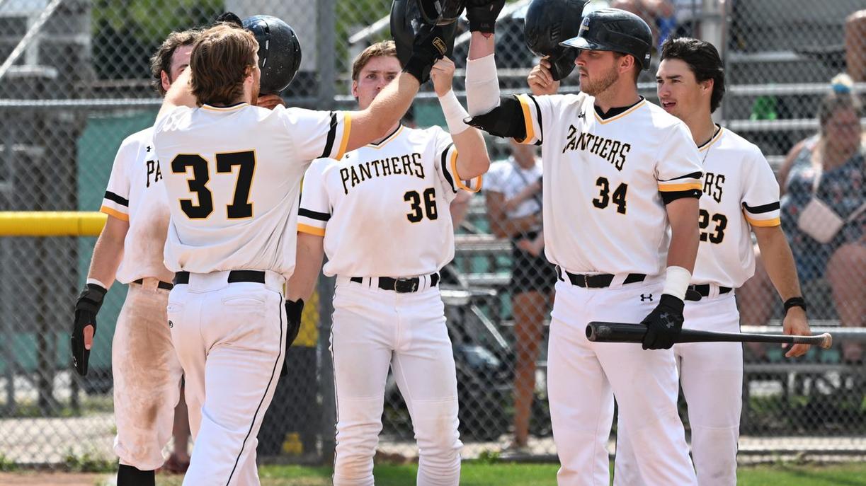 News: Panthers Announce 2023 Season Tickets Year End Special ...