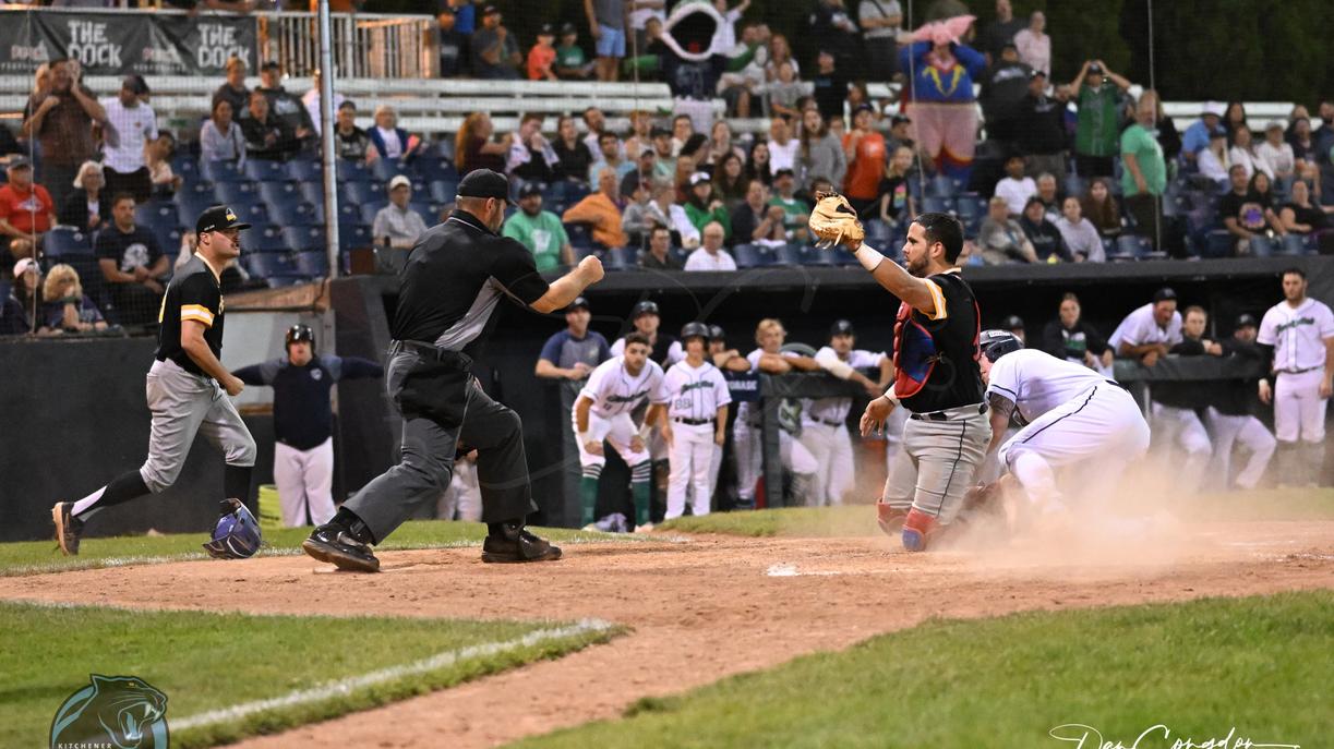 News: Import catcher Yunior Ibarra re-signs with Kitchener - Kitchener ...