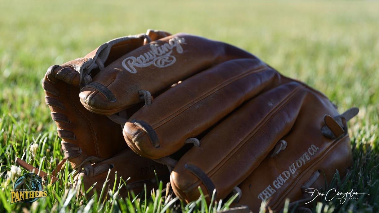 News: IBL releases 2025 schedule - Kitchener Panthers