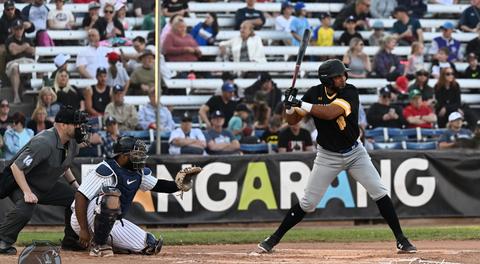 Home - Kitchener Panthers