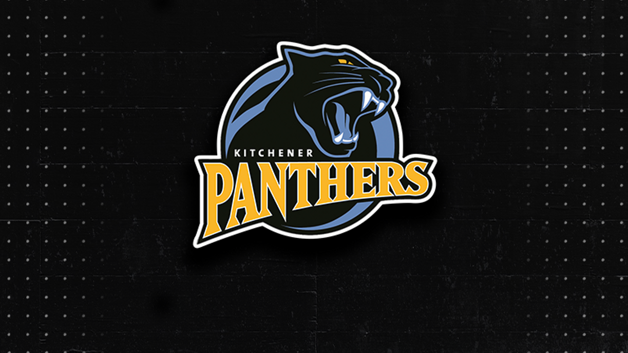 News: Board of Directors Recruitment - Kitchener Panthers
