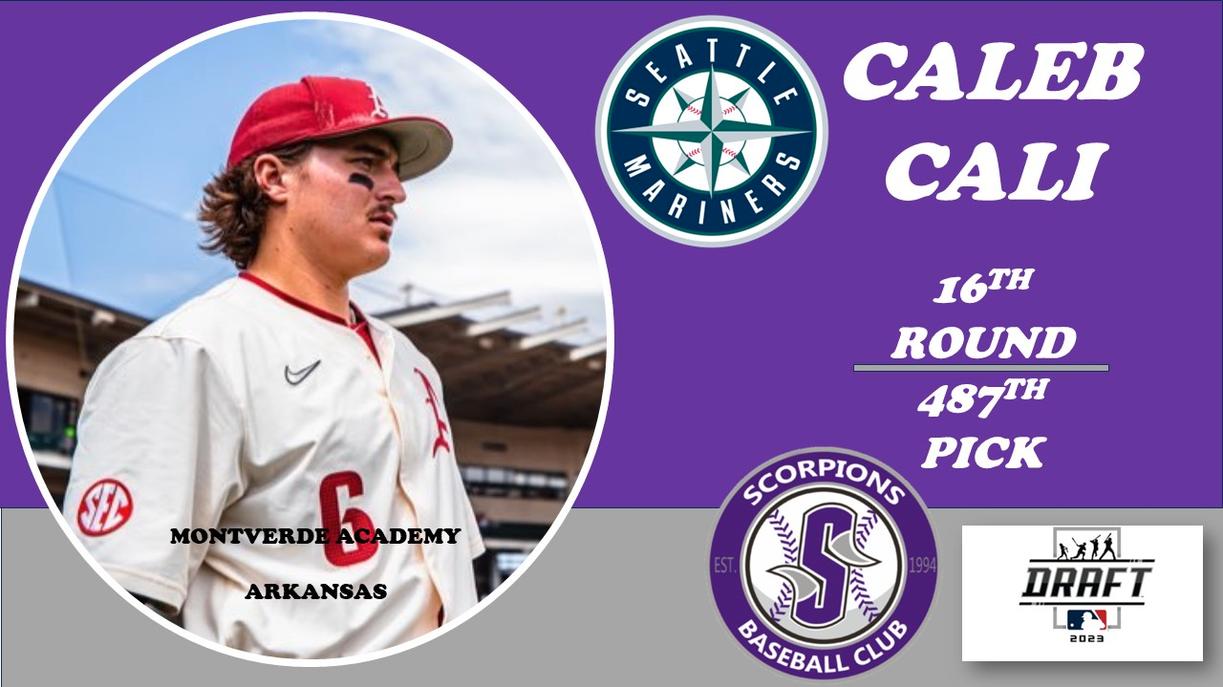 News: CALEB CALI DRAFTED BY SEATTLE MARINERS - Scorpions Baseball