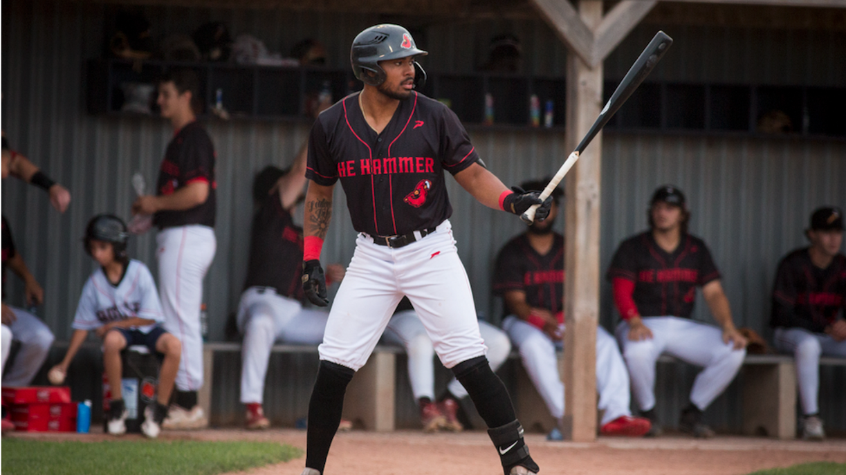 News: DEI BANING RE-SIGNS WITH CARDINALS - Intercounty Baseball League
