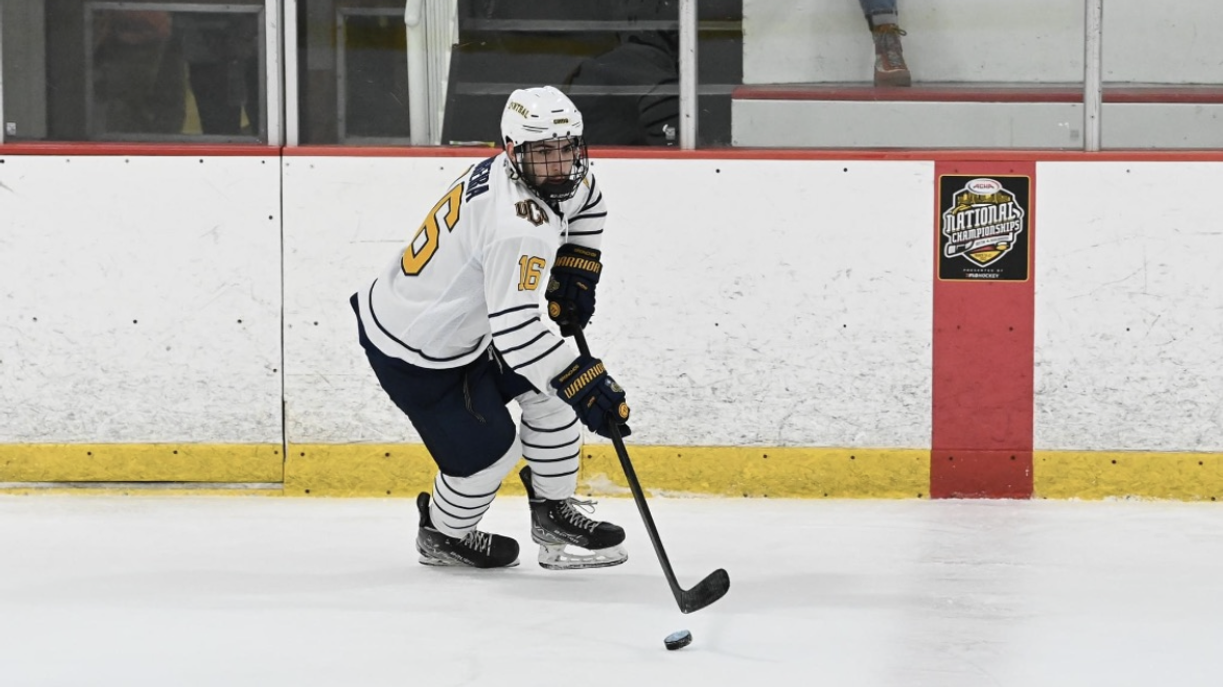 News: Coach Zemlicka adds another forward to the Bobcats line-up with ...