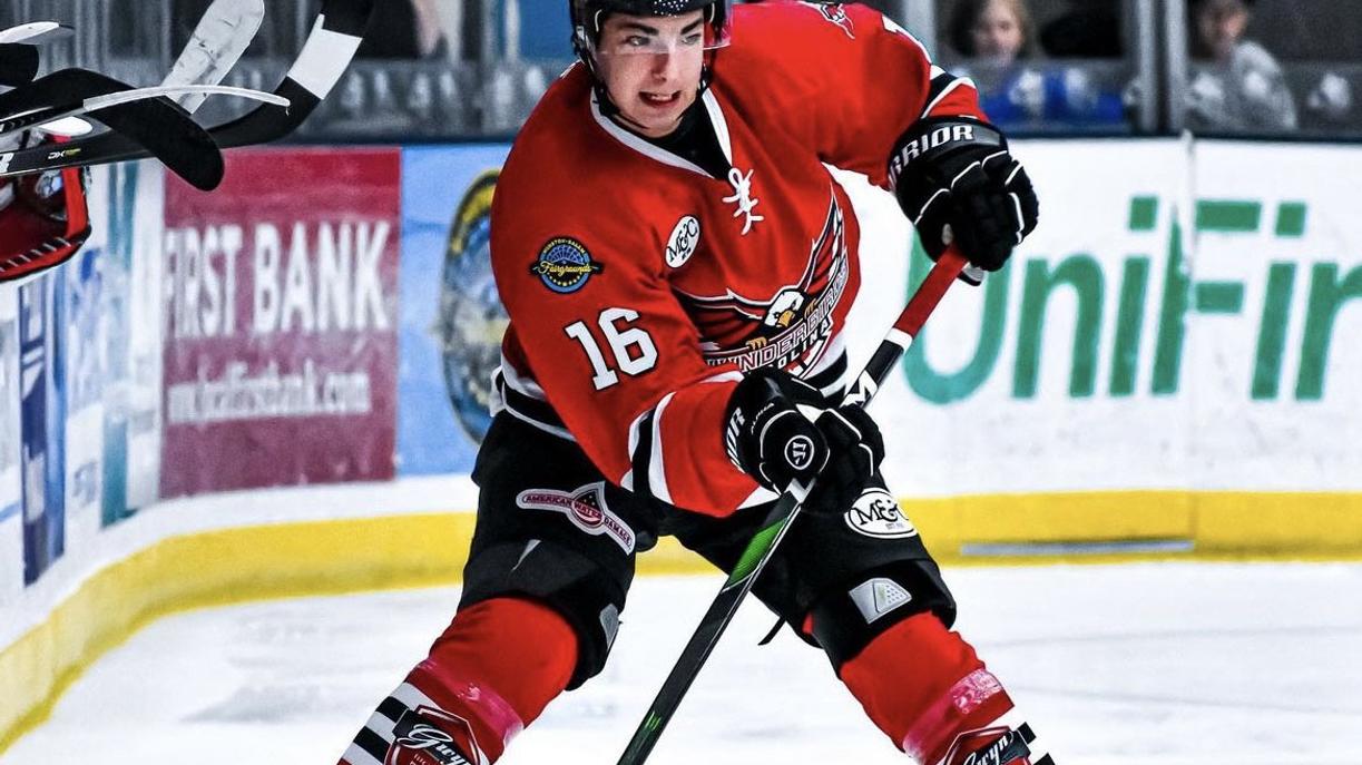 News: Bobcats add force to the Blue Line with Braydon Crowe Signing ...