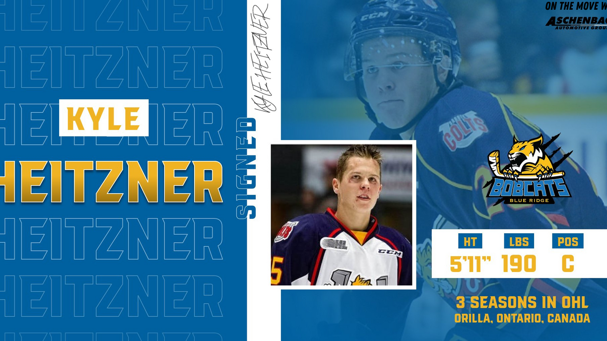 News: Blue Ridge Bobcats Sign Standout Forward Kyle Heitzner - Blue ...