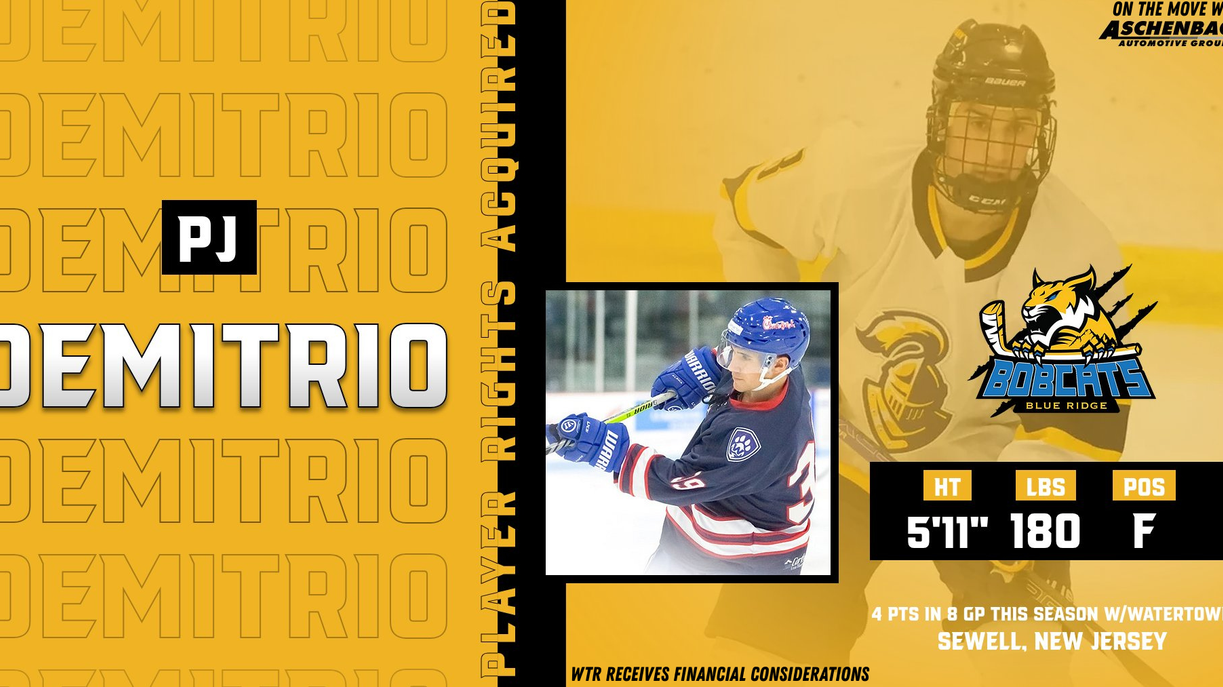 News: Bobcats Announce Trio of Roster Moves Ahead of Rematch with Port ...