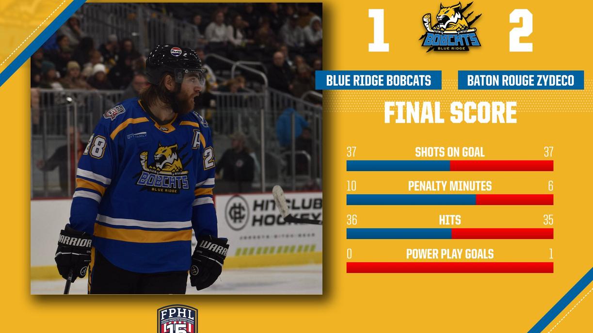 News: 'Cats Comeback Falls Short in 2-1 Defeat to Zydeco - Blue Ridge ...