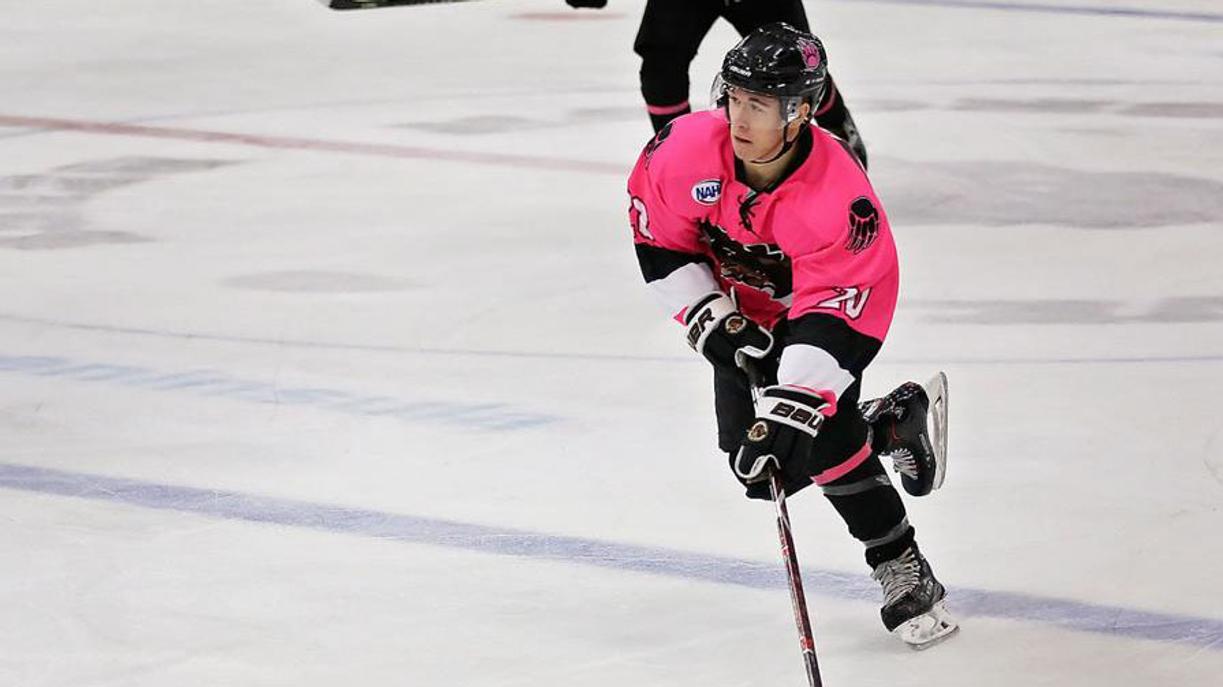 News: Bobcats add a skilled winger to their forward group with signing ...