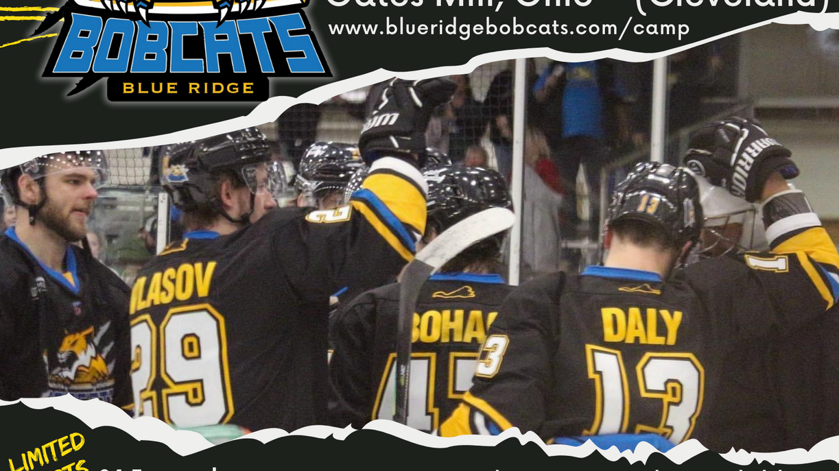 News: Bobcats FREE AGENT CAMP Announced - Blue Ridge Bobcats