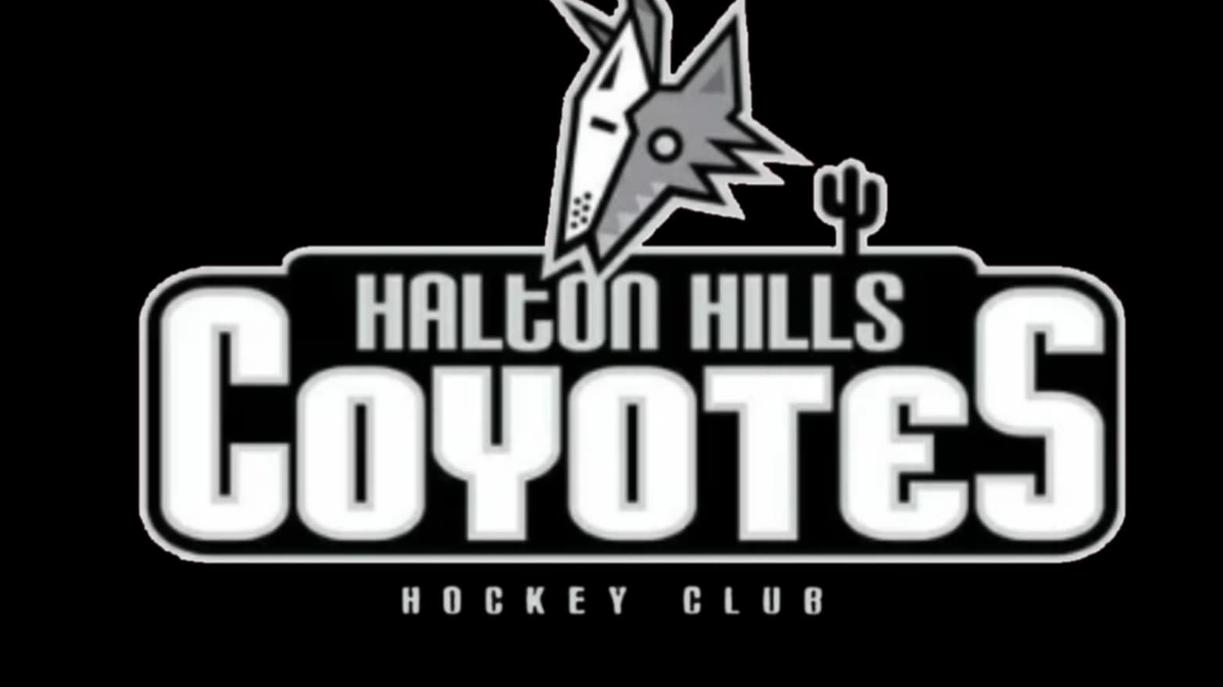 News: HALTON HILLS JOINS NPHL AS THE METROPOLITAN TAKES FORM - NPHL