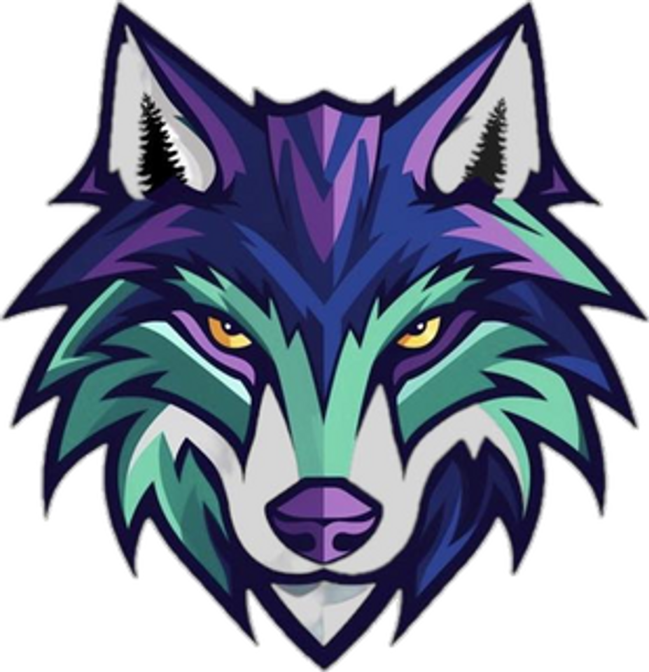 Washington Wolfpack Arena Football One washington-wolfpack-arena-football-one